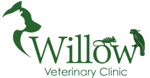 Meet Our Team of Expert Vets | Willow Veterinary Clinic Ltd