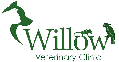 Veterinary Practice | Stoke | Willow Veterinary Clinic Ltd